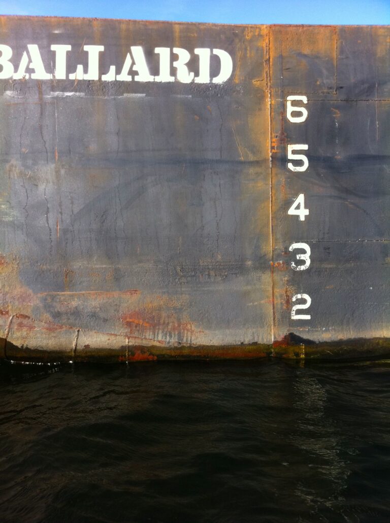 How to Go Kayaking in Seattle's Lake Union - Visit Seattle