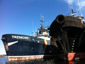 How to Go Kayaking in Seattle's Lake Union - Visit Seattle