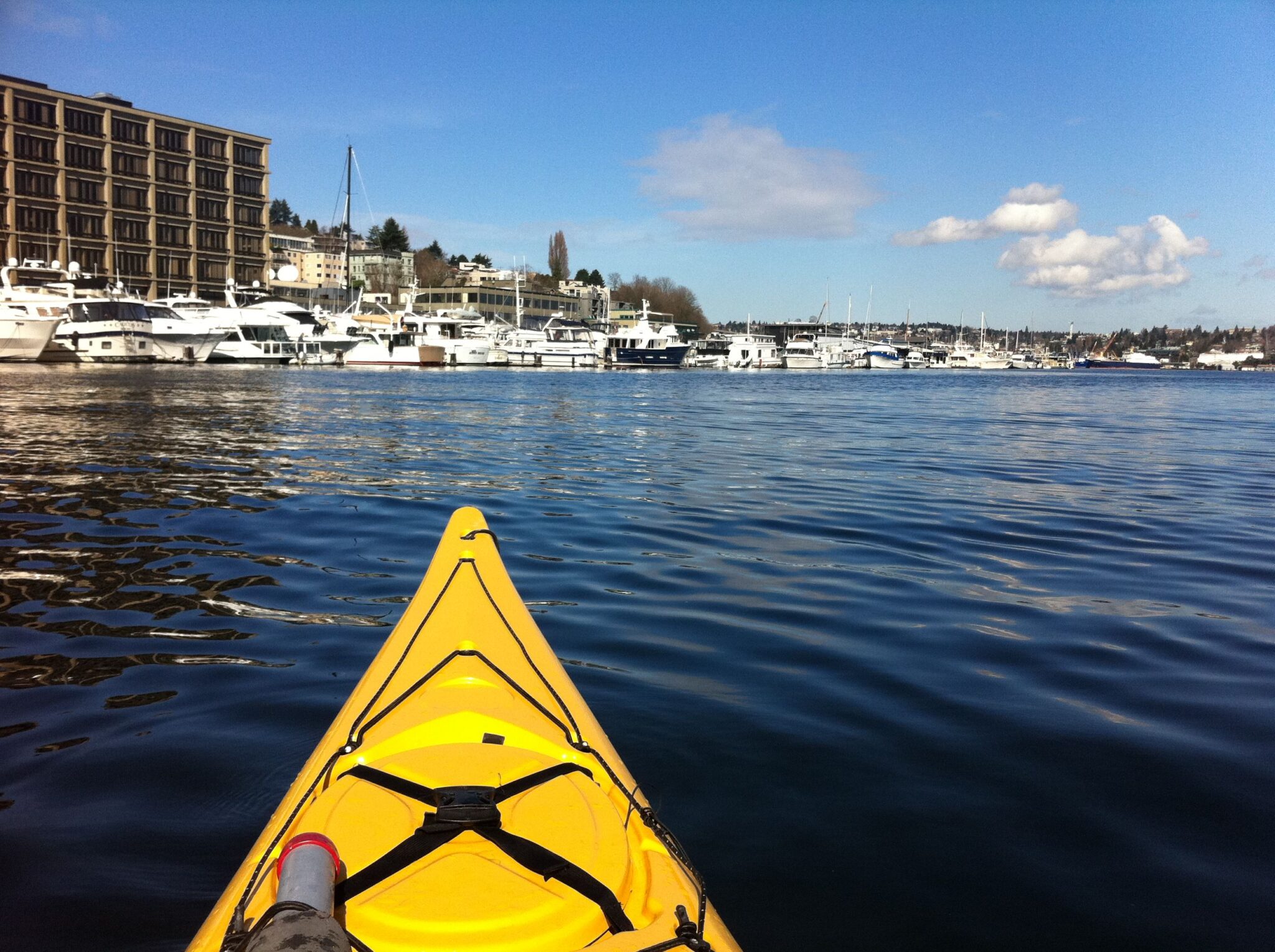 How to Go Kayaking in Seattle's Lake Union - Visit Seattle