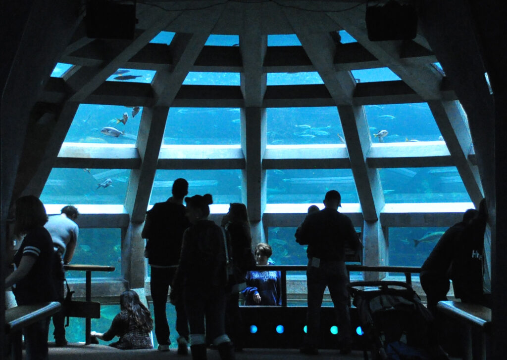 Top 25 Attractions | Visit Seattle