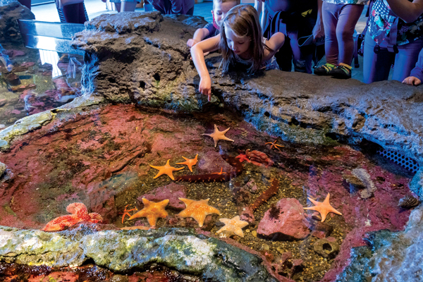 Waterfront | Visit Seattle