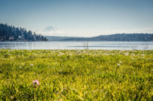 22 Images of Seattle We Can't Stop Looking At - Visit Seattle