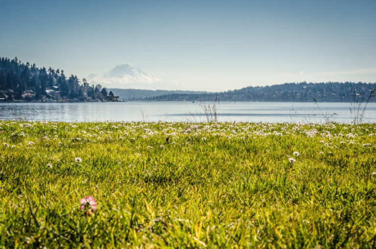 22 Images of Seattle We Can't Stop Looking At - Visit Seattle