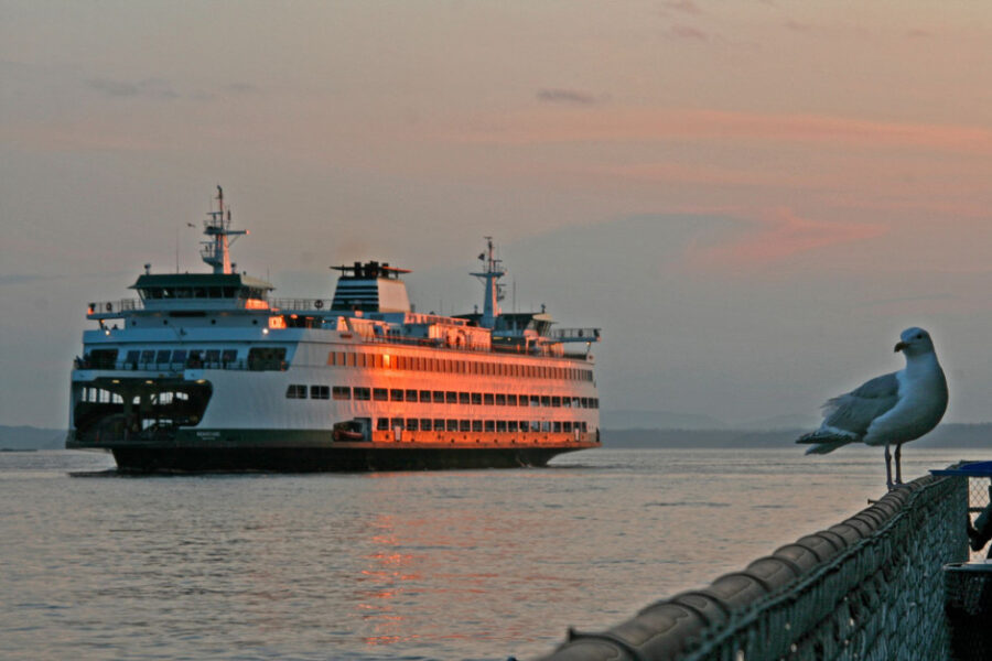 10 Signs You've Never Been To Seattle - Visit Seattle