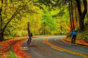 9 Reasons You Need to See Seattle in the Fall - Visit Seattle