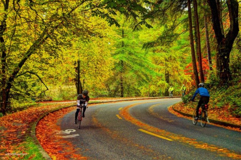 9 Reasons You Need to See Seattle in the Fall - Visit Seattle