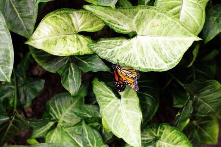 Celebrate Seattle Museum Month at Our Favorite Spots Around the City ...