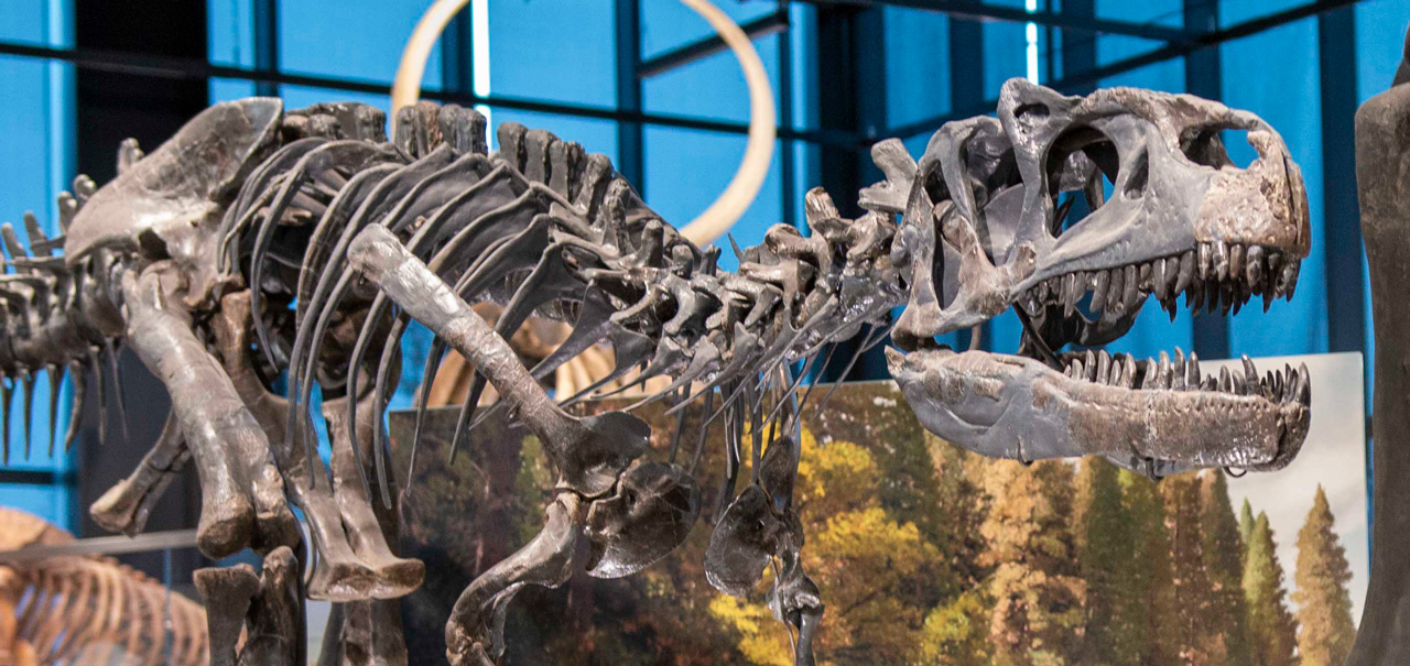Seattle Museum Month:Fun for the Whole Family | Visit Seattle