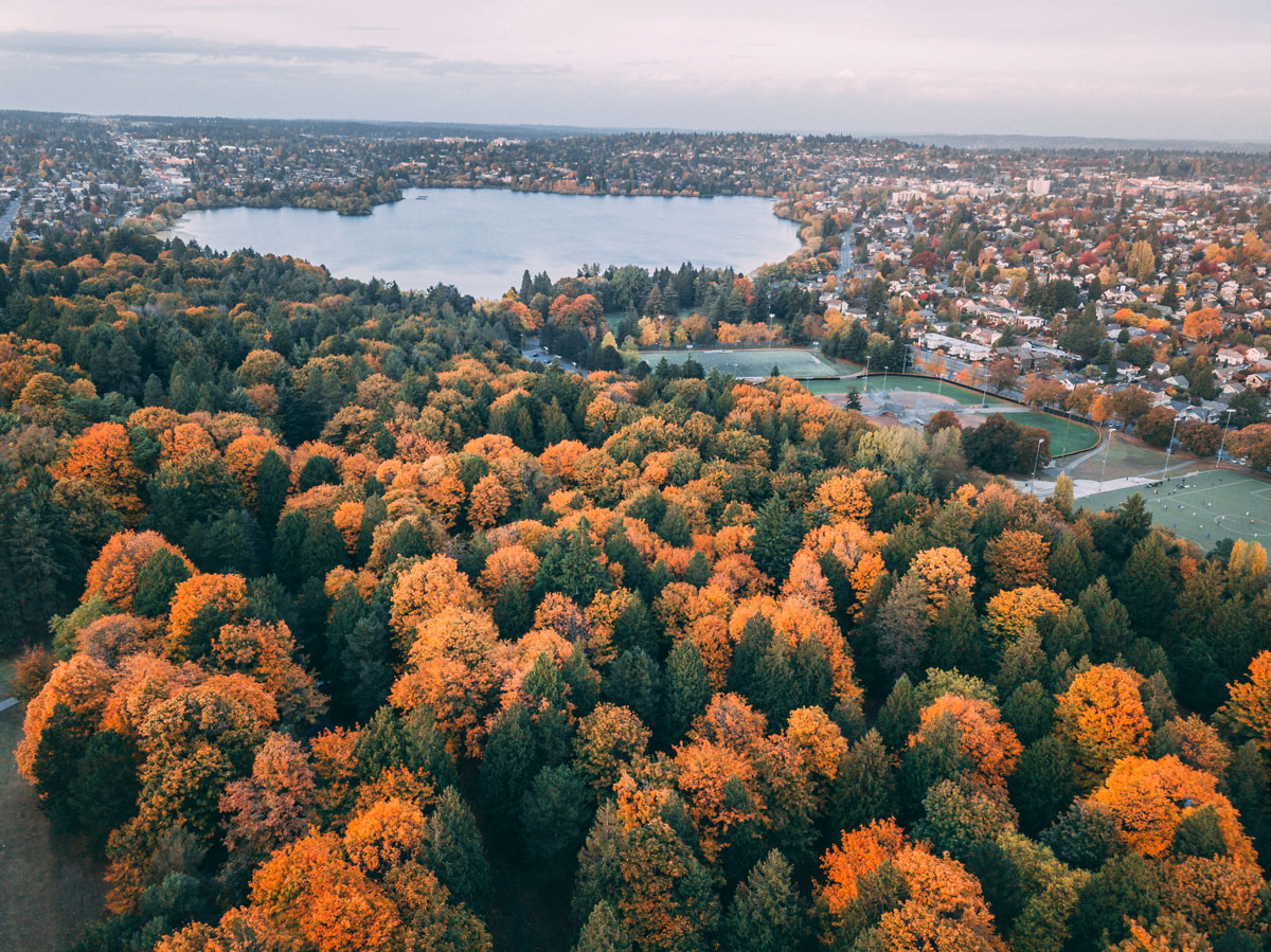 Green Lake Seattle Fall