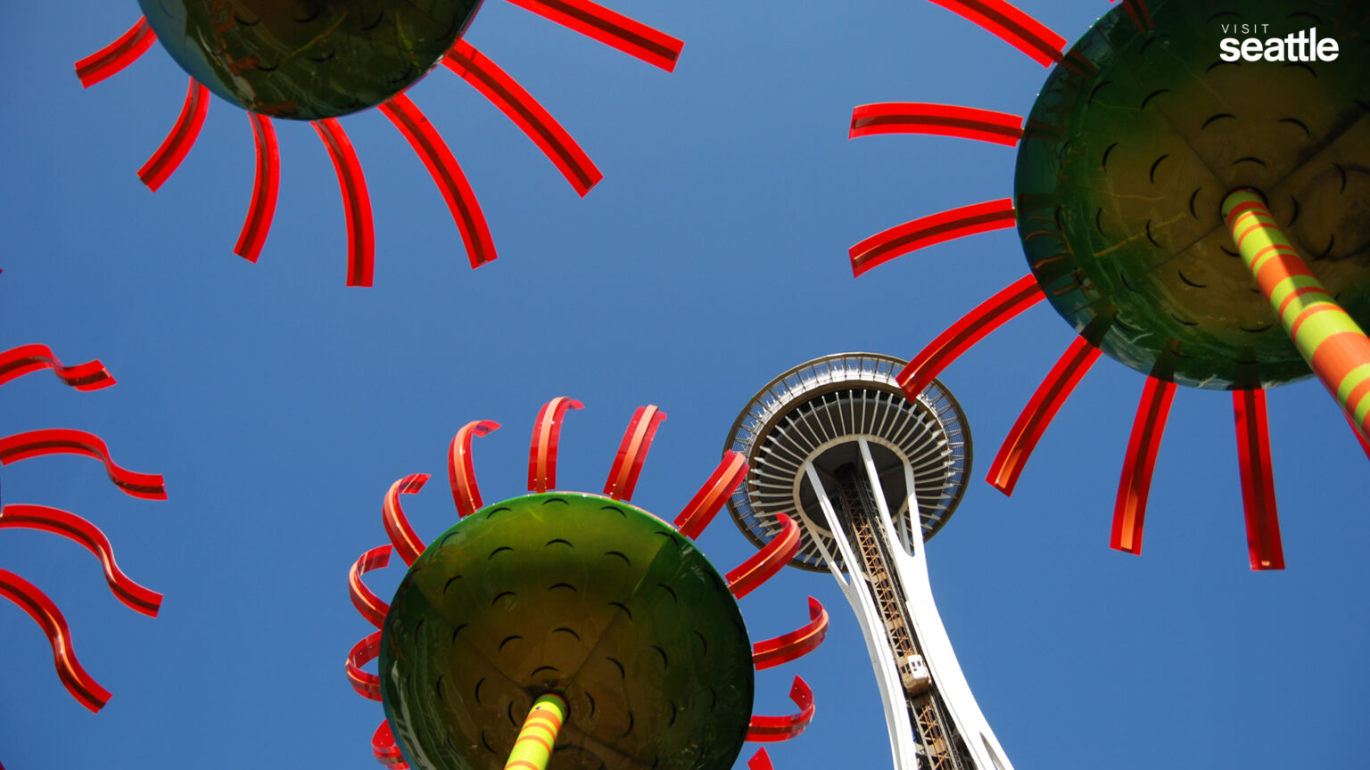 Downloadable Seattle backgrounds for Zoom - Visit Seattle