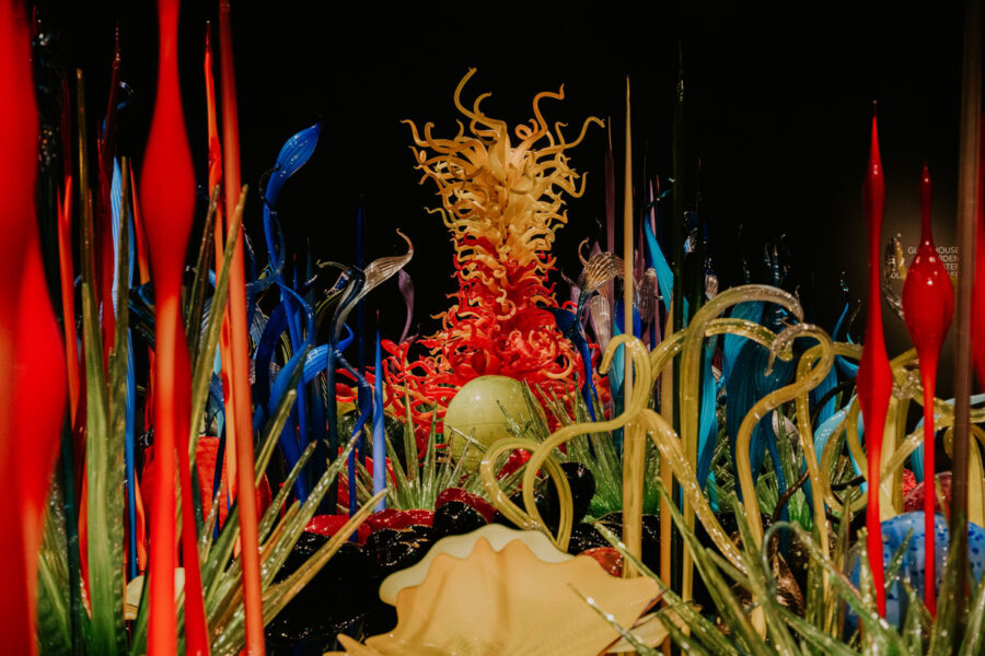 Tourists for the day with Seattle CityPASS - Visit Seattle