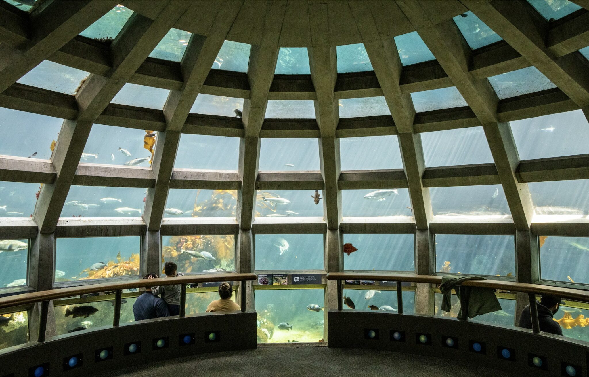 Seattle Museum Month:Fun for the Whole Family - Visit Seattle