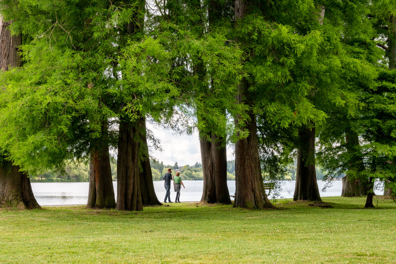 Mother Nature's City - Visit Seattle
