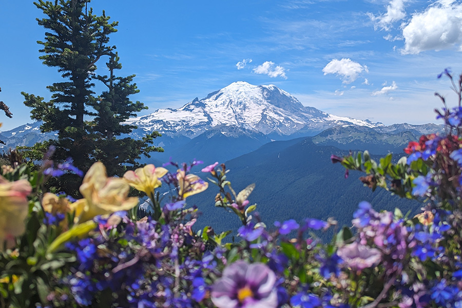 Southern Washington - Visit Seattle