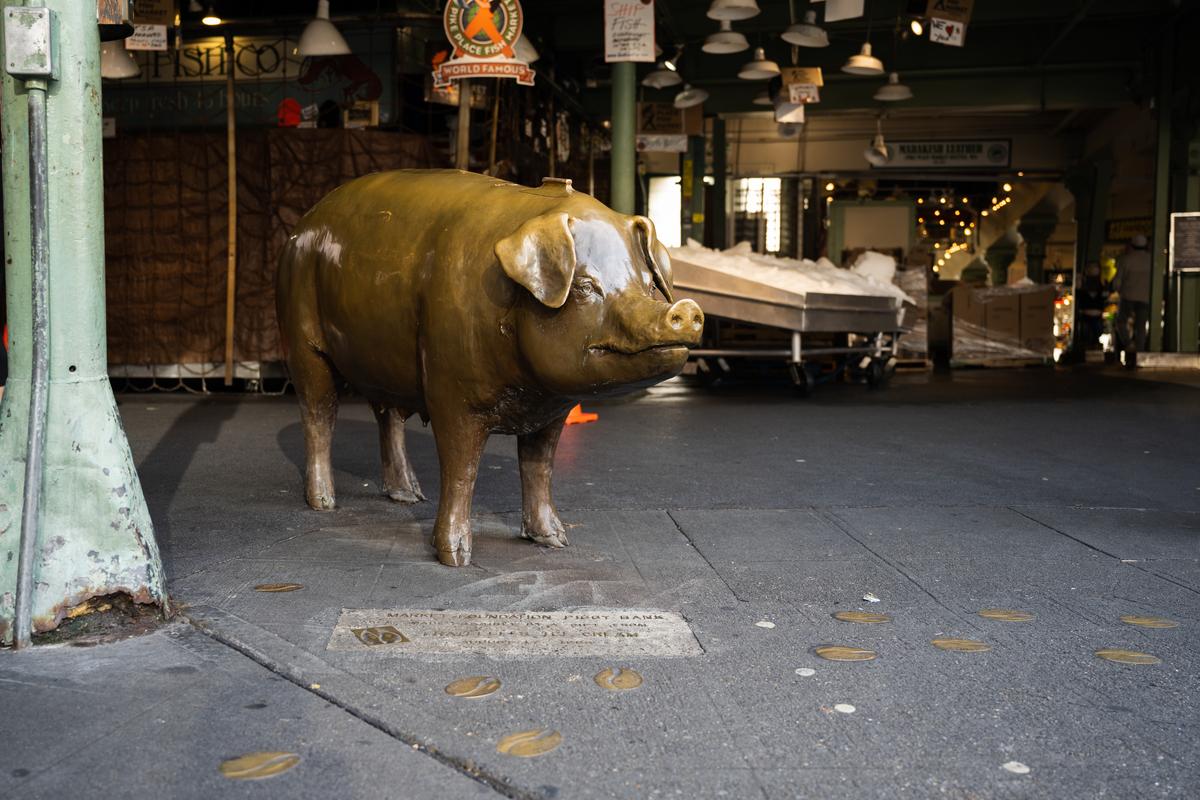 Floyd & Rachel - Visit Seattle