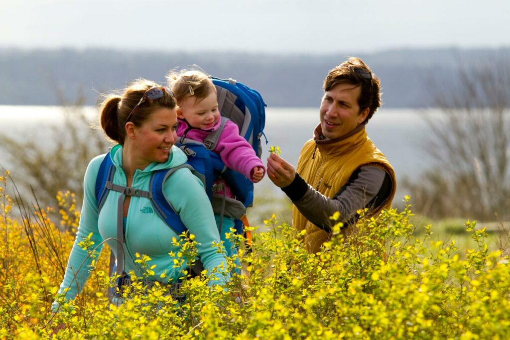 Blaze a Trail - Visit Seattle