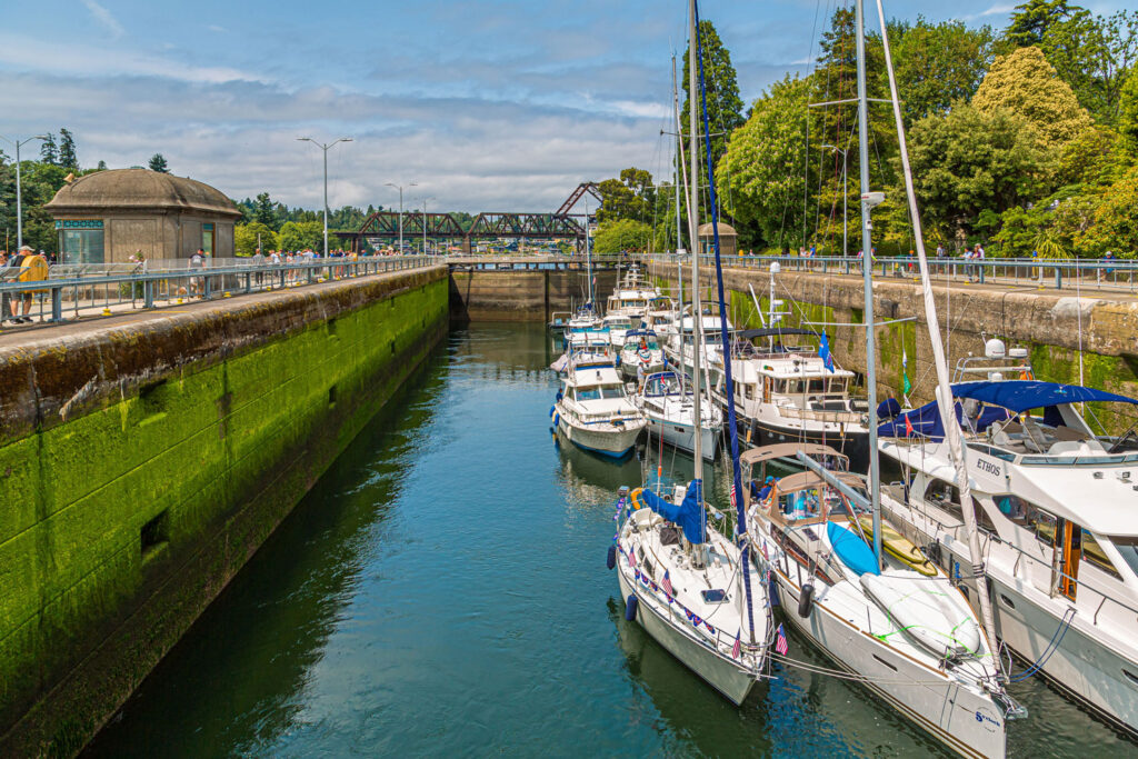 Seattle’s Top 10 Family-Friendly Activities - Visit Seattle