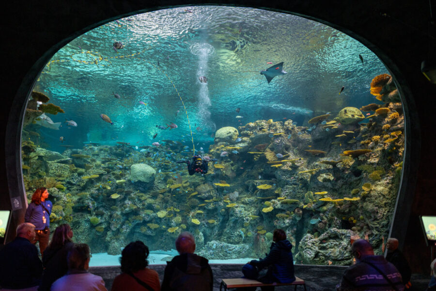 25 Things To Do in Seattle in 2025 - Visit Seattle