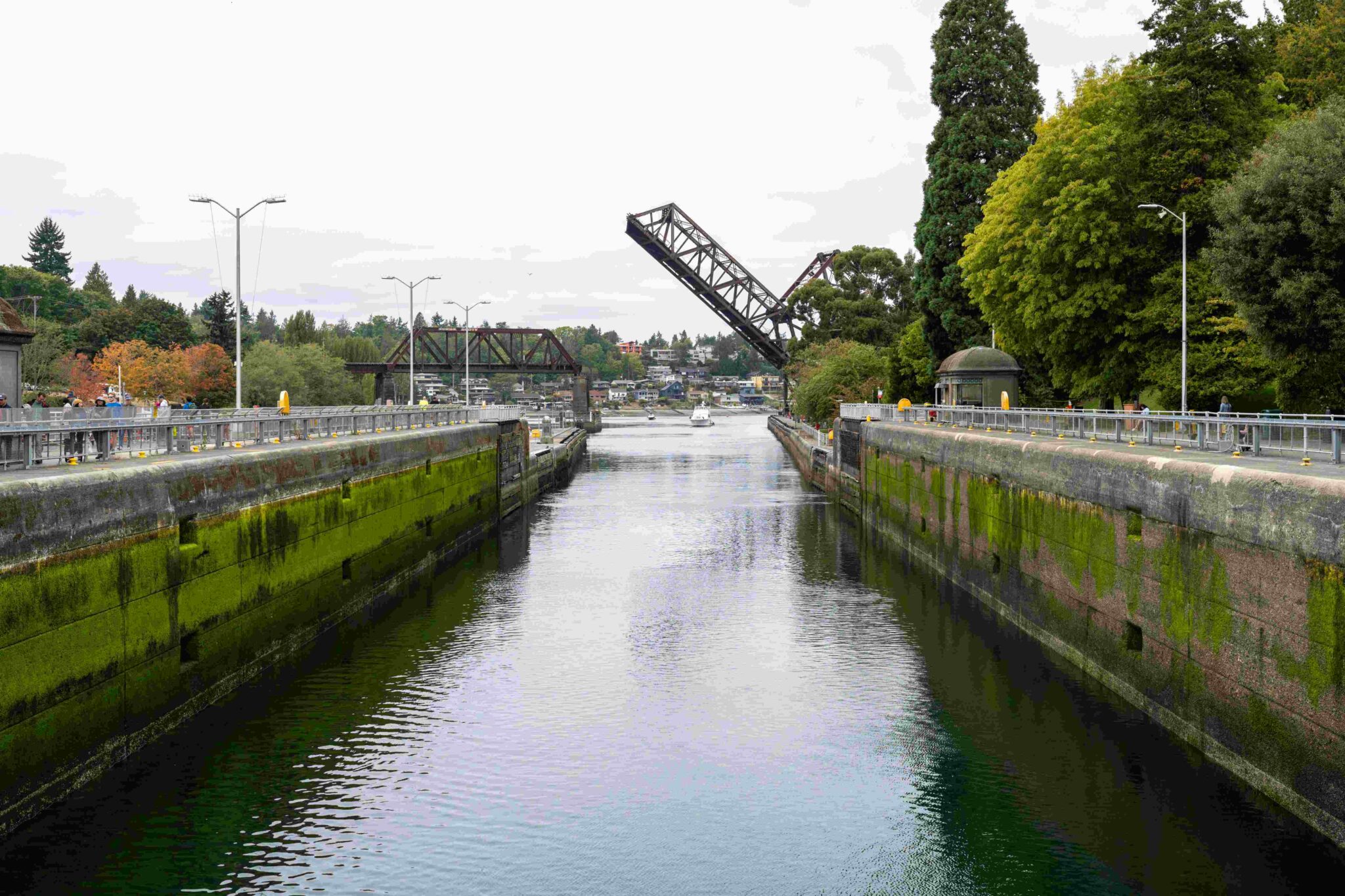 Seattle's Major Attractions - Visit Seattle