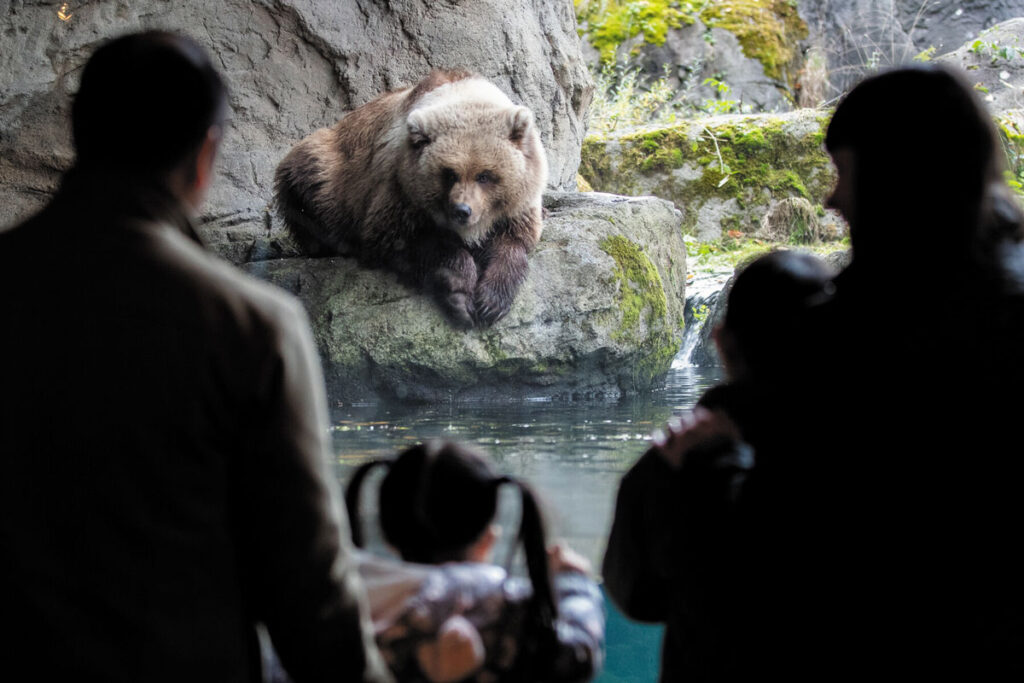 Wildlife Wonders and Pet-Friendly Fun - Visit Seattle
